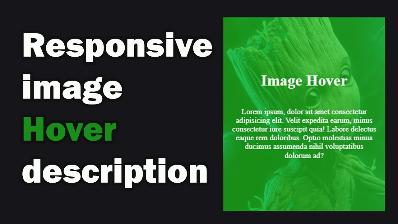 Responsive Image Hover - (Speed tuto html css)