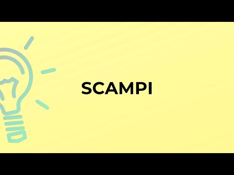 What is the meaning of the word SCAMPI?