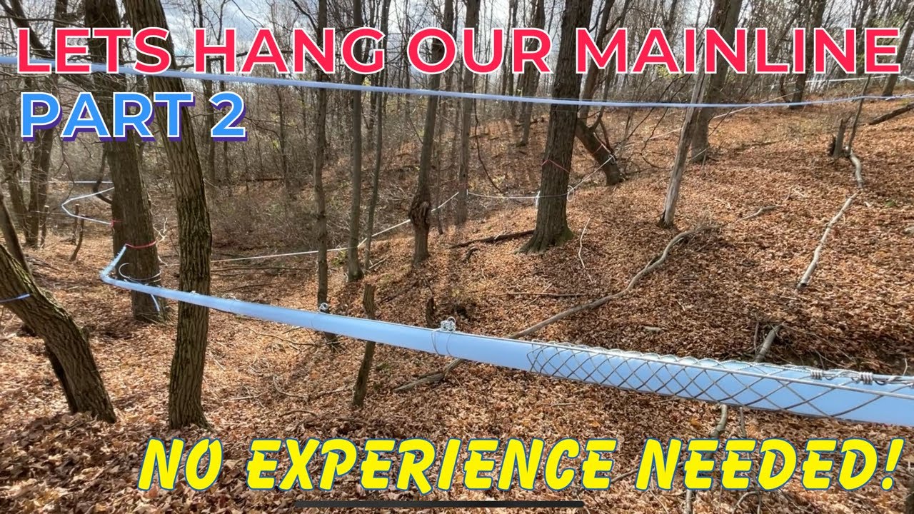 How to Hang a Maple Sap Collection System! (Part 2/ Mainline Tubing)