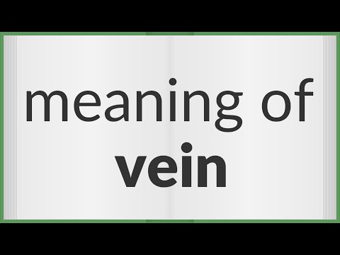 Vein | meaning of Vein