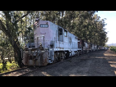 Trains in Schellville ft: NWP 1922, SP 3194, NWP 1501, and many more! 6/6/20