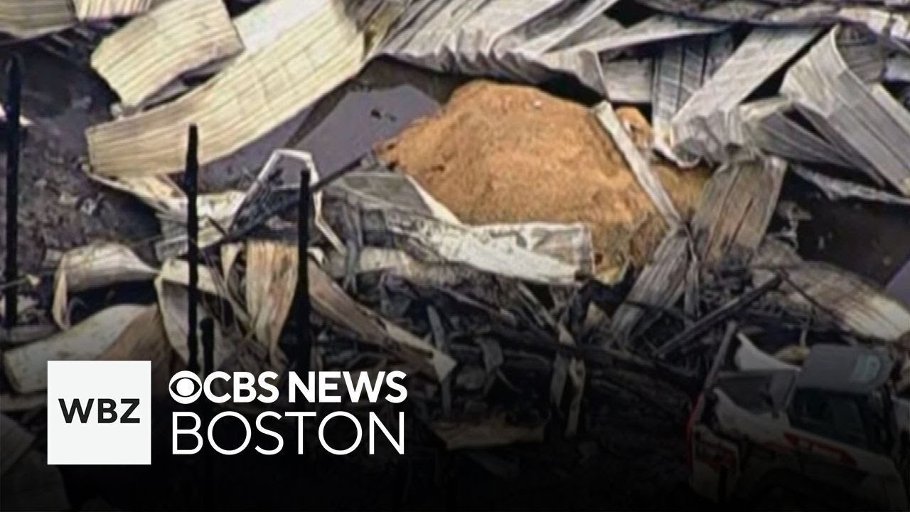 7 horses die in Massachusetts barn fire