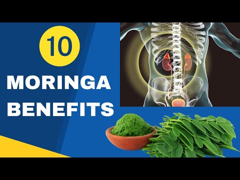 Moringa : 10 Life–Changing Moringa Health Benefits | Moringa Health Benefits