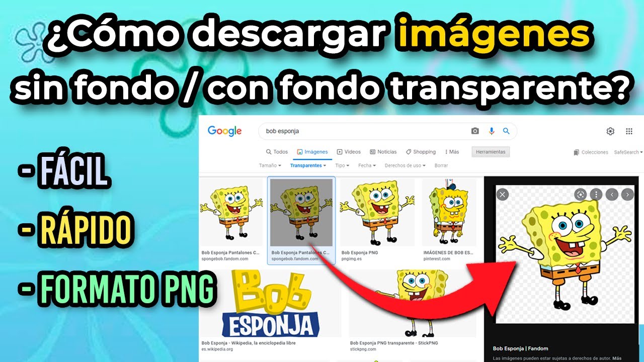 ¿Cómo buscar y descargar imágenes sin fondo en google?