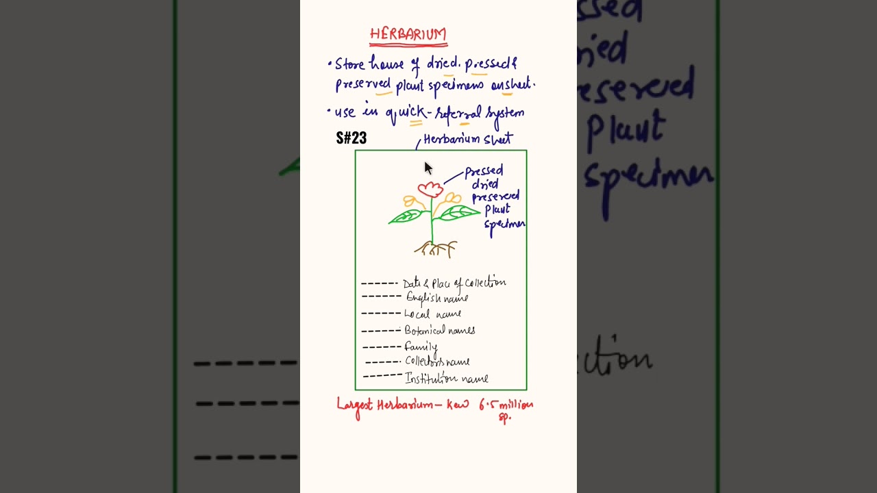 #herbarium #shorts #biology2minutes #herbariumsheet