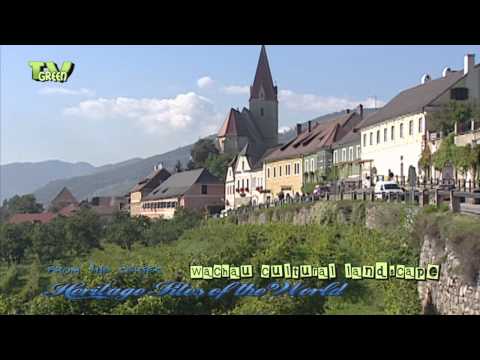Wachau Wine - Heurigen - World heritage