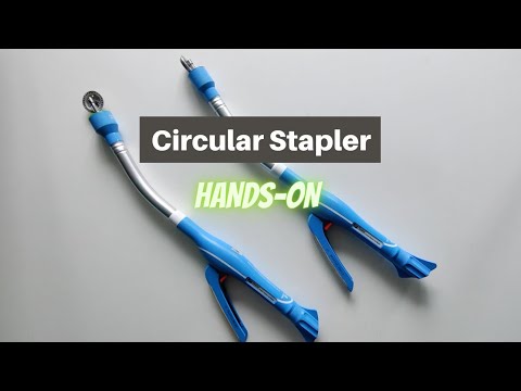 Circular Stapler (POV)