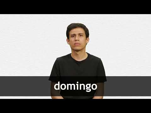 English Translation of “DOMINGO” | Collins Spanish-English Dictionary