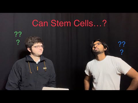 Trivia Tuesday: Stem Cells!