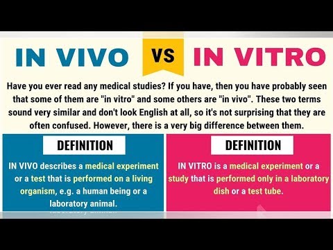 In Vivo vs. In Vitro: What Does It All Mean? | Tita TV