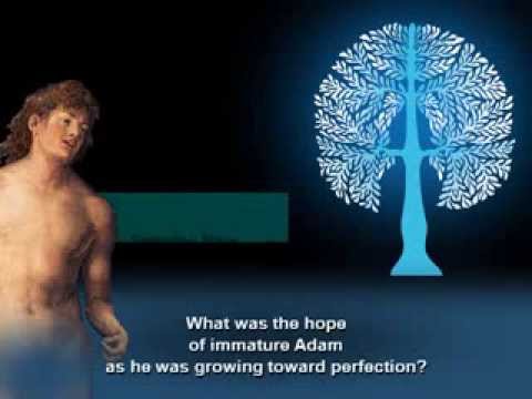 What does the TREE of LIFE symbolize in the Bible ?