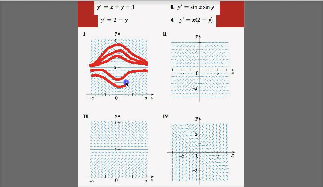 Stewart's Calculus Chapter 9 - Direction/Slope Fields