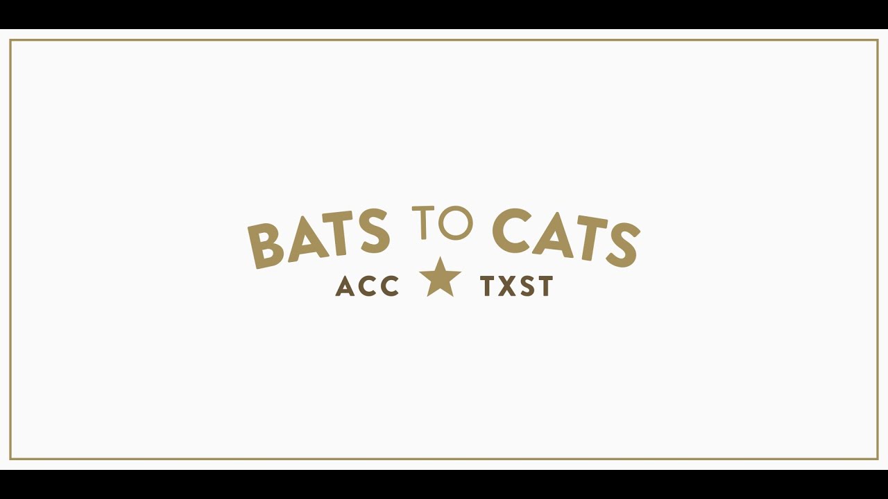 Bats to Cats: Student Declaration Form Walk-Through