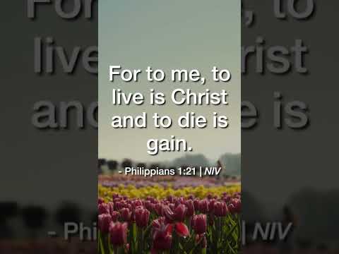 To Live is Christ | Daily Bible Devotional Philippians 1:21