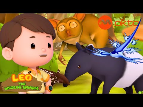Rescuing BABY ANIMALS 🦄 Wildlife RANGERS 🦸♂️| Leo Compilation | @mediacorpokto