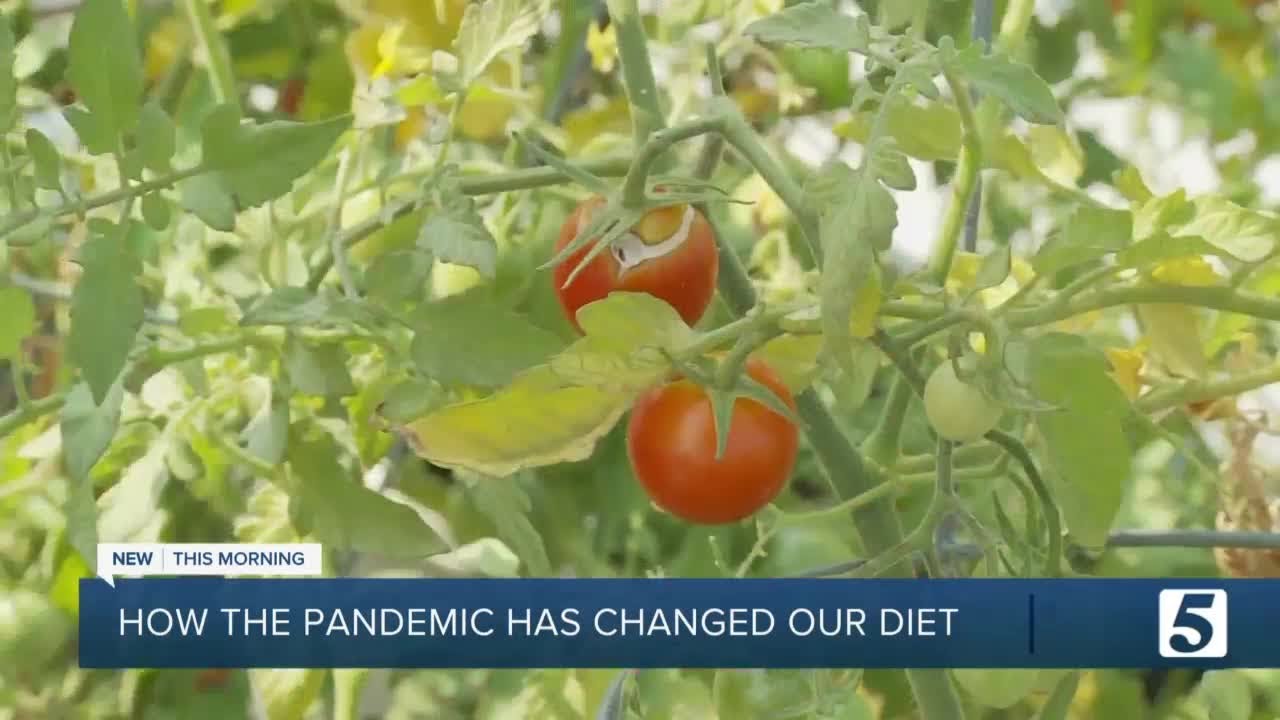 Consumer Reports: How the pandemic has changed our diet