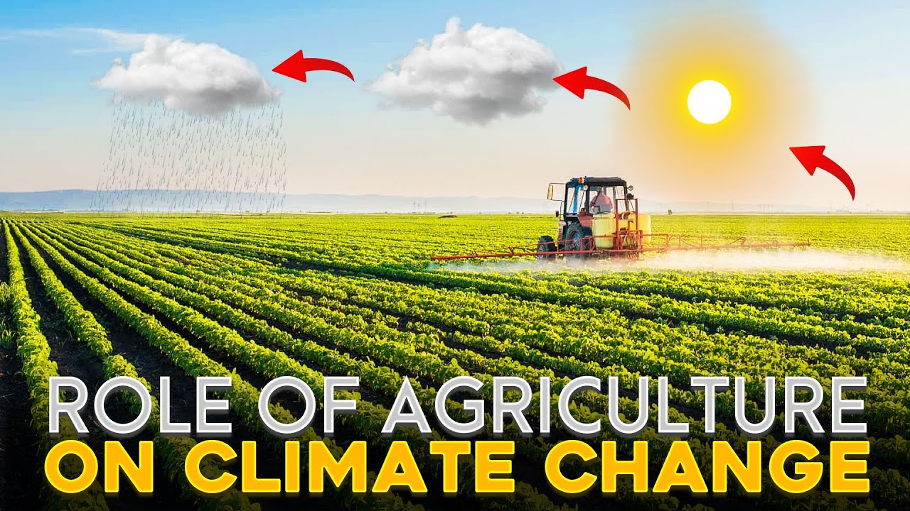 Climate Change and Agriculture: Challenges & Solutions | Balancing Food Production & the Environment