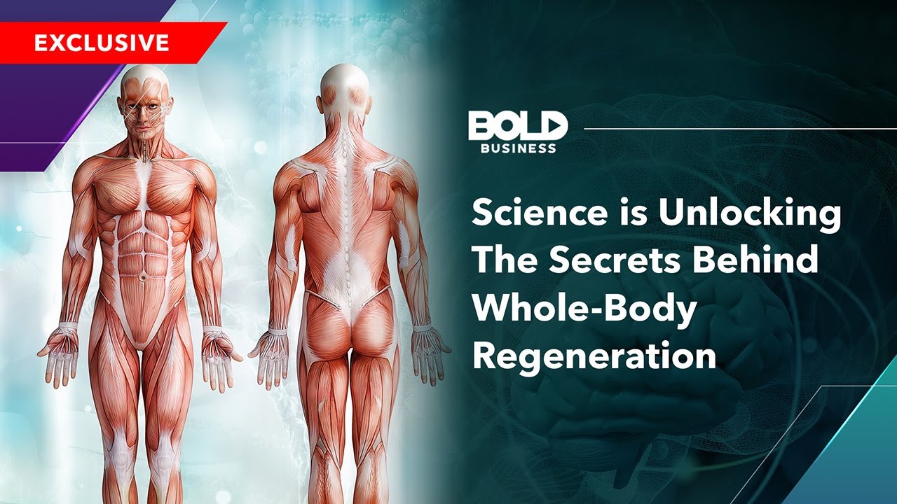Science is Unlocking The Secrets Behind Whole-Body Regeneration