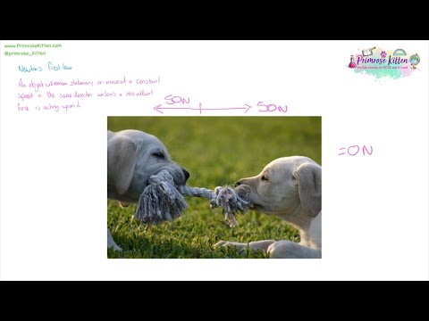 Newton's First Law of Motion - Inertia