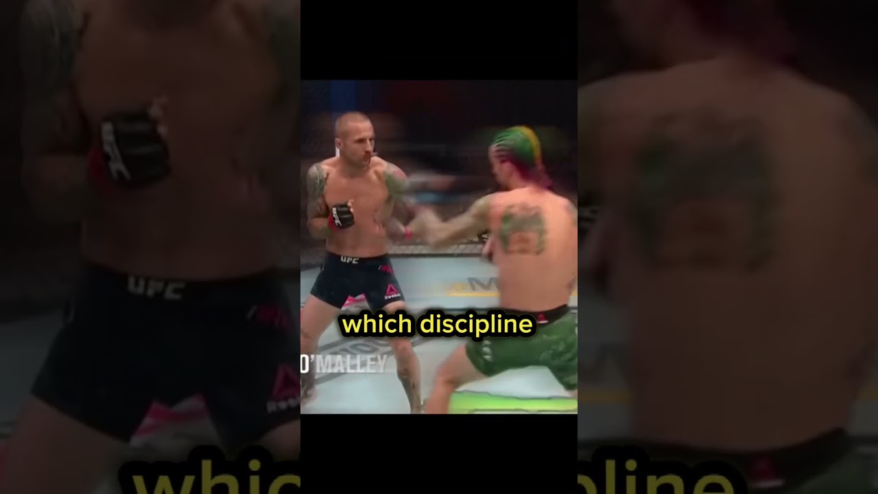 Grappler vs Striker ufc 292 🍿 #ufc #ufc292 #seanomalley #aljamainsterling #mma #viral #fyb