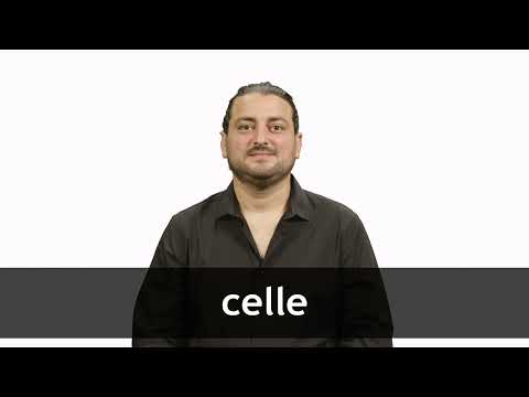 English Translation of “CELLE” | Collins French-English Dictionary