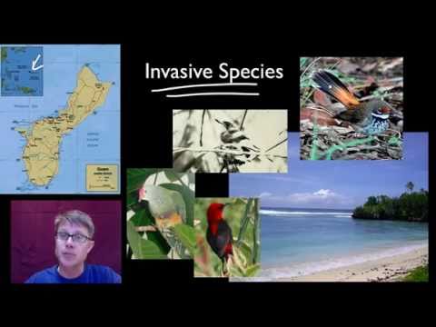 Disruption of Homeostasis - Advanced ( Read ) | Biology | CK-12 Foundation