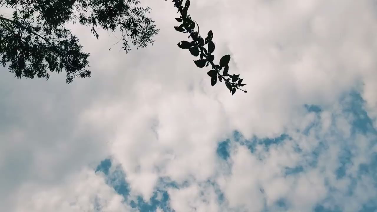 SKY VIEW IS AMAZING 