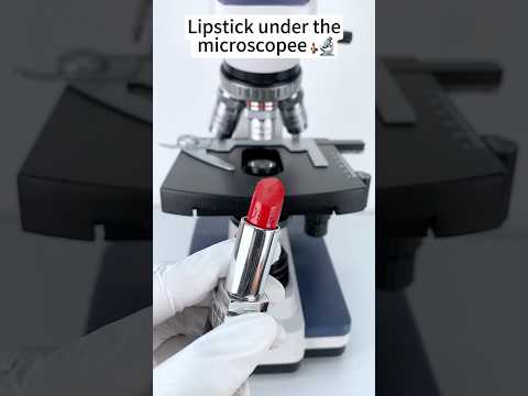 Lipstick under the microscope A Hidden World Under the Microscope – Bacteria Close-Up!