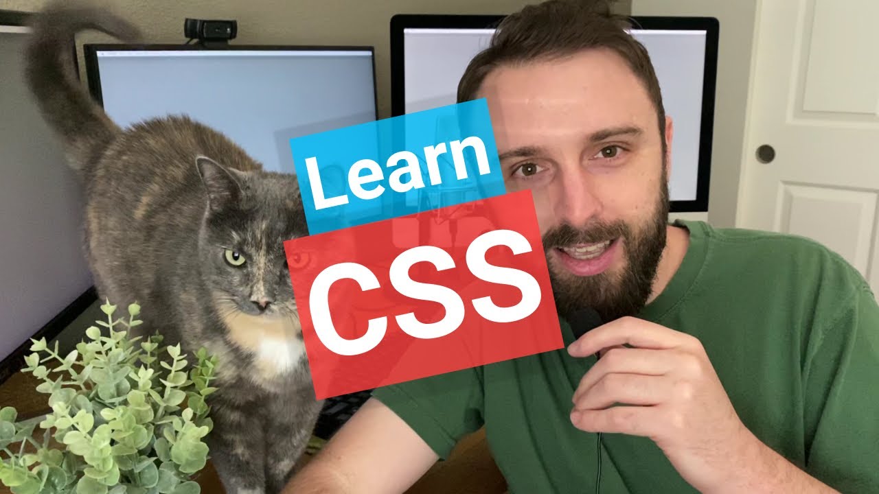 CSS Tutorial: Basic Selectors and Styles