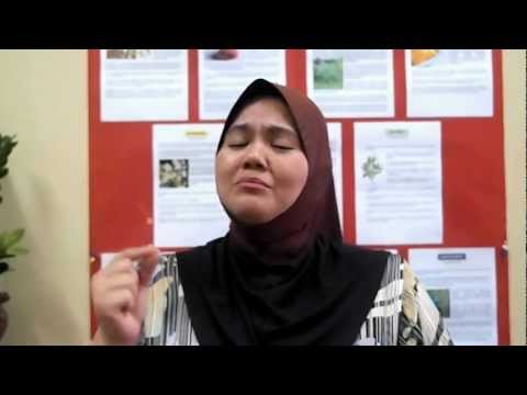 MILLIONNAIRE CHARACTERS - ABD RAHMAN BIN AUF (Zila Amin - Insyallah)
