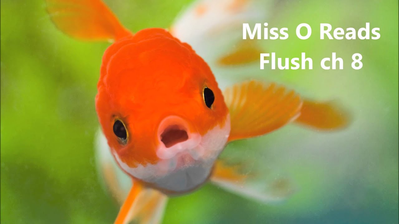 Miss O Reads Flush ch 8