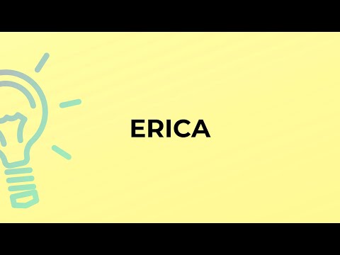 What is the meaning of the word ERICA?
