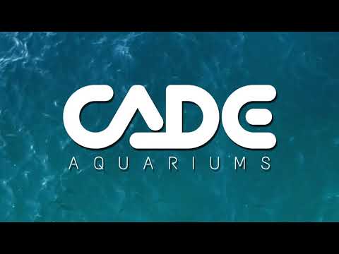 CADE Aquariums - Premium Quality Marine Ecosystems