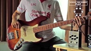 EBS MicroBass II preamplifier - What To Know & Where To Buy | Equipboard