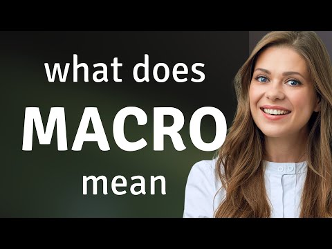 Macro | definition of MACRO