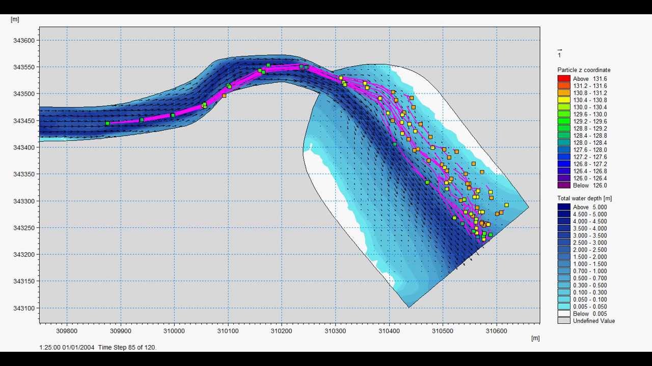 MIKE 21 FM Particle Tracking - River Example