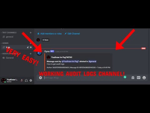 How to get Audit Logs in your discord server. (Dyno)