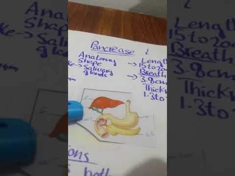 DETAILED LECTURE OF PANCREAS IN URDU
