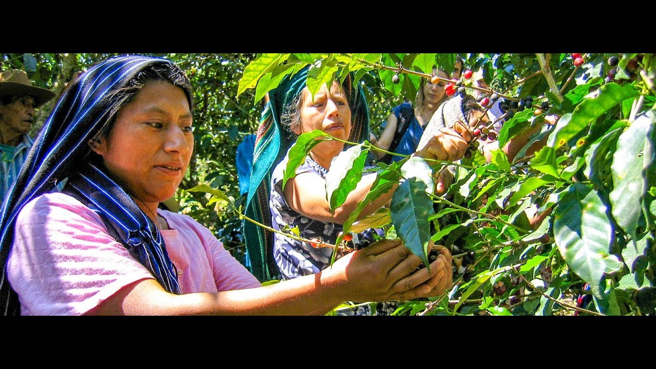 Fair World Project Presents Grow Ahead