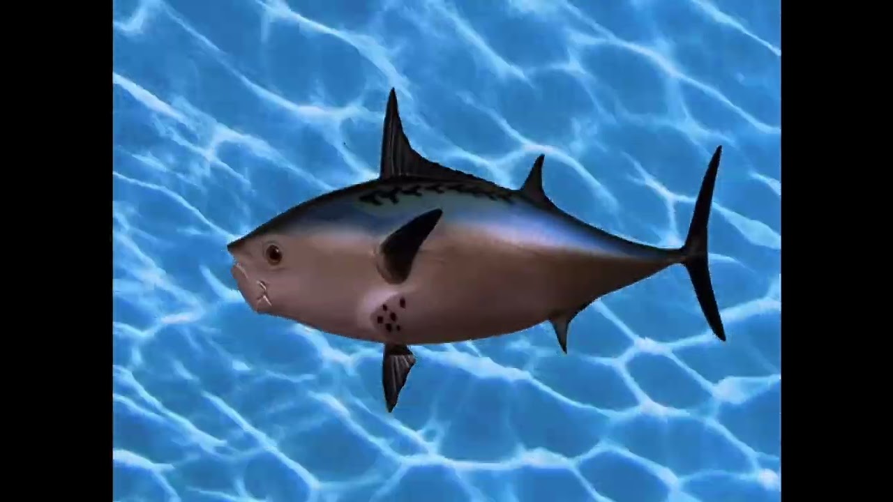 SpongeBob SquarePants Main Title - Fish Scene (Textless) (Version 1)