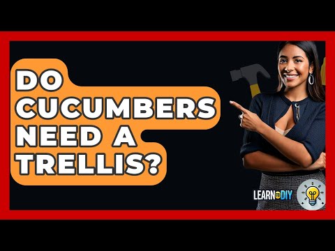 Do Cucumbers Need A Trellis? - LearnToDIY360.com