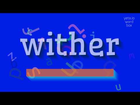 WITHER - HOW TO SAY WITHER?