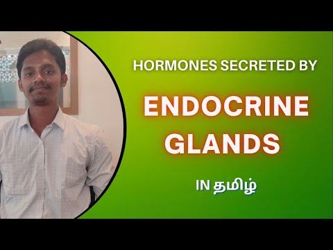 Hormones Secreted by Endocrine Glands in Tamil