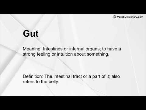 Gut Meaning