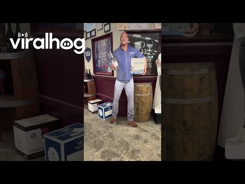 Kevin Hart Cutout Given Little Height Boost || ViralHog