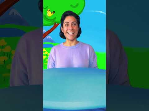Colors in Spanish (Review)