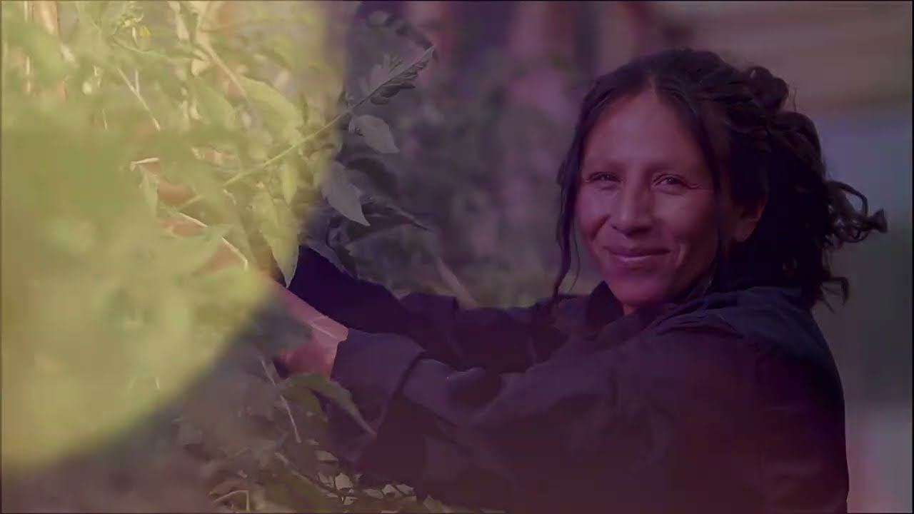 Cooperativa de Ahorro y Crédito Abierta "COOPROLE R.L."