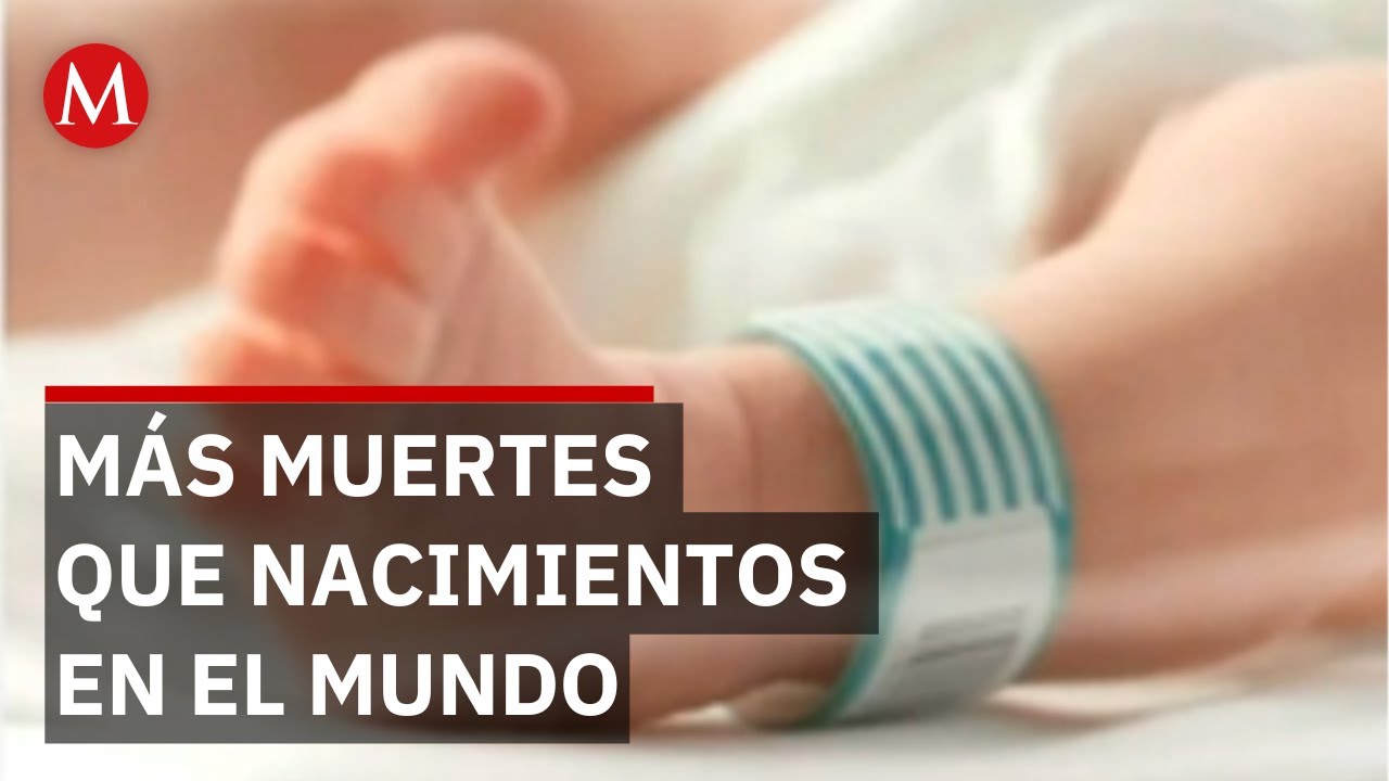 Karla Moreno analyzes the increase in mortality compared to birth rates globally.