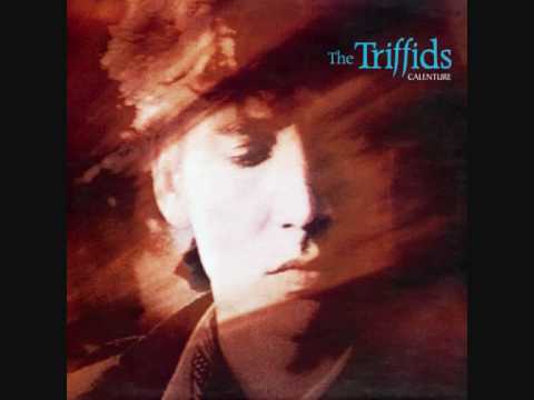 121. CALENTURE – THE TRIFFIDS (1987) – The New Perfect Collection