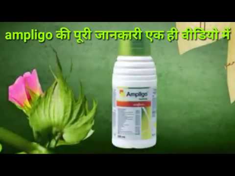 Syngenta Insecticide - Latest Price, Dealers & Retailers in India